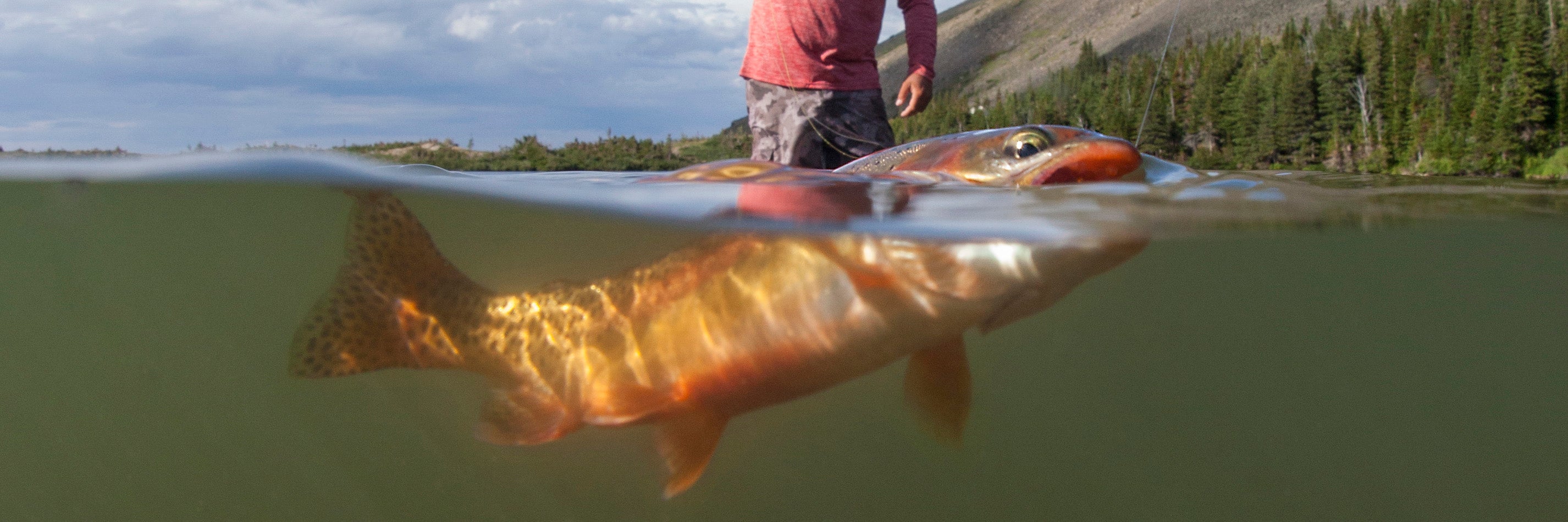 Stillwater Nymphs – Out Fly Fishing
