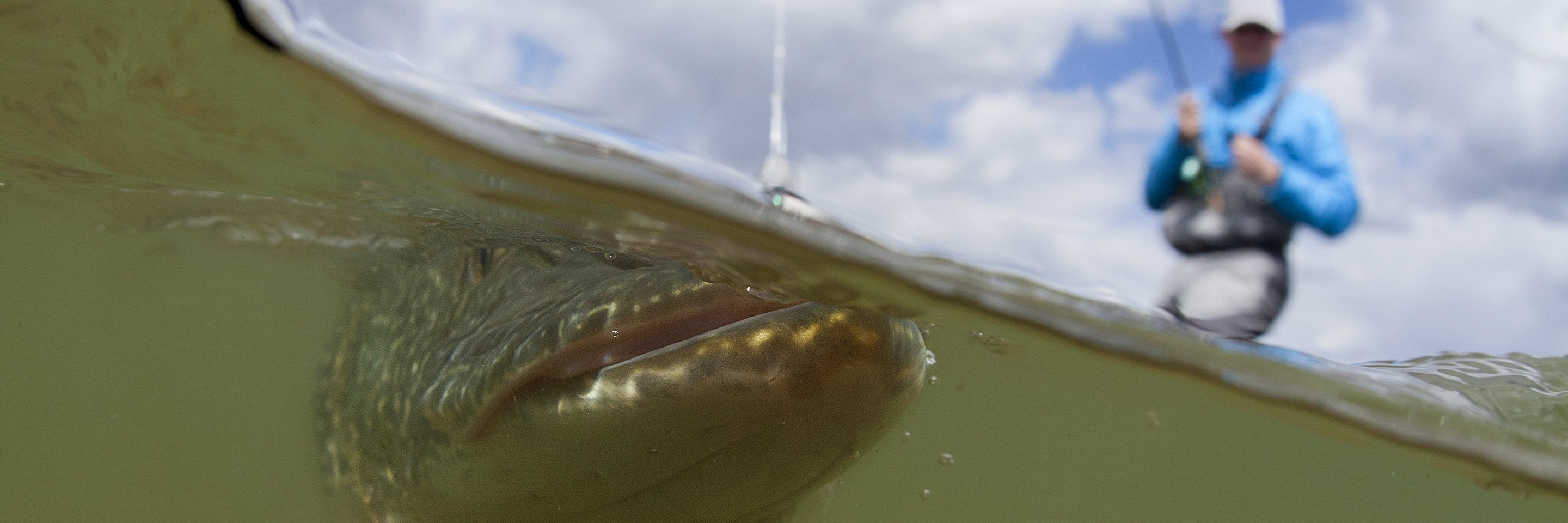 Tandem Hook Flies – Out Fly Fishing