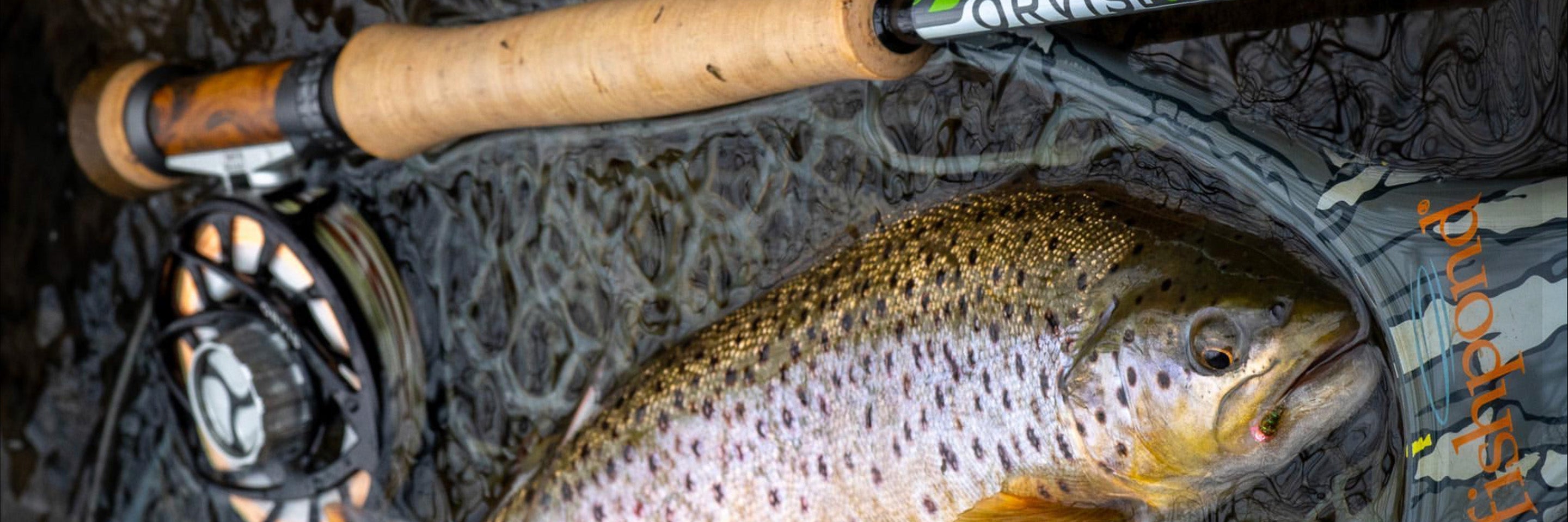 Euro-Nymph Leaders & Sighter Tippet – Out Fly Fishing