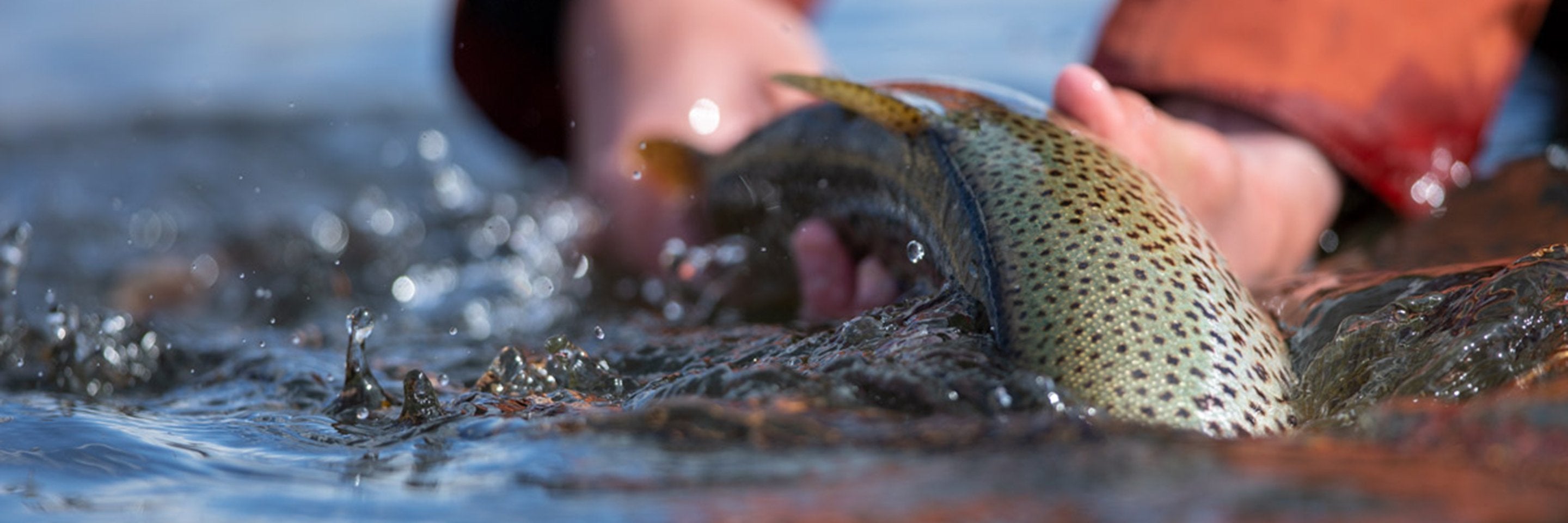 Stripping Baskets & Guards – Out Fly Fishing