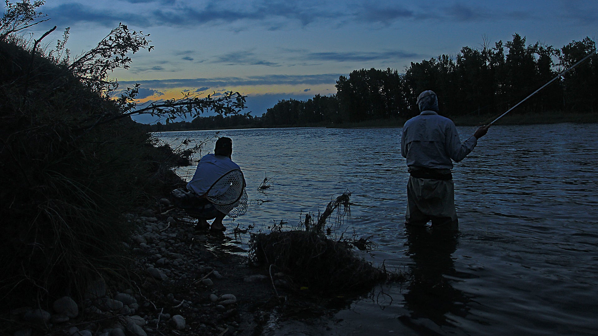Bow River Guided Trips – Out Fly Fishing