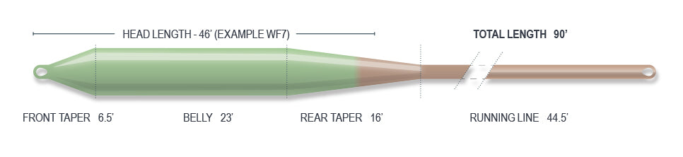 Airflo Superflo Bomber – Out Fly Fishing