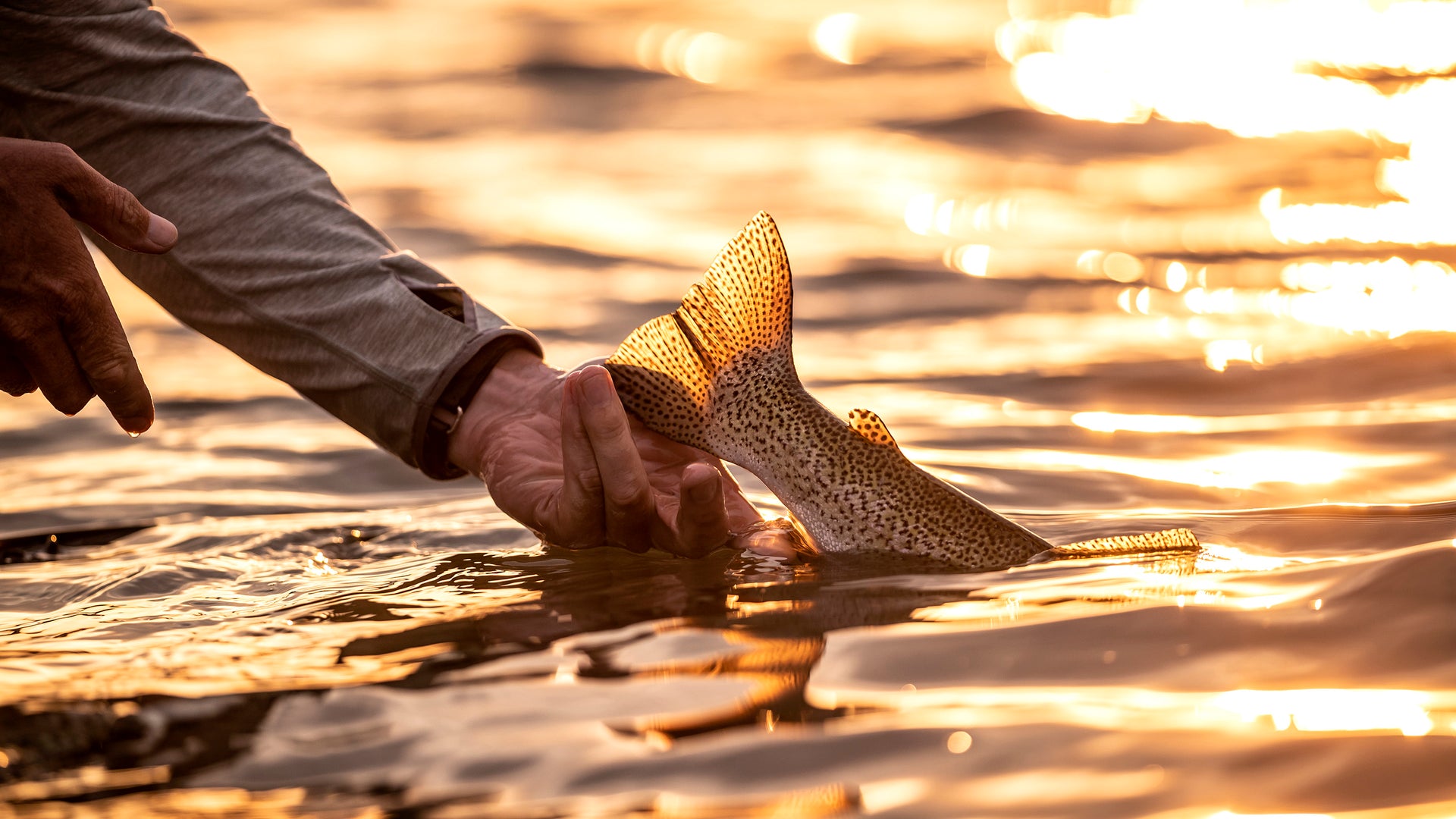 Full Day Lower Bow Float Trip – Out Fly Fishing