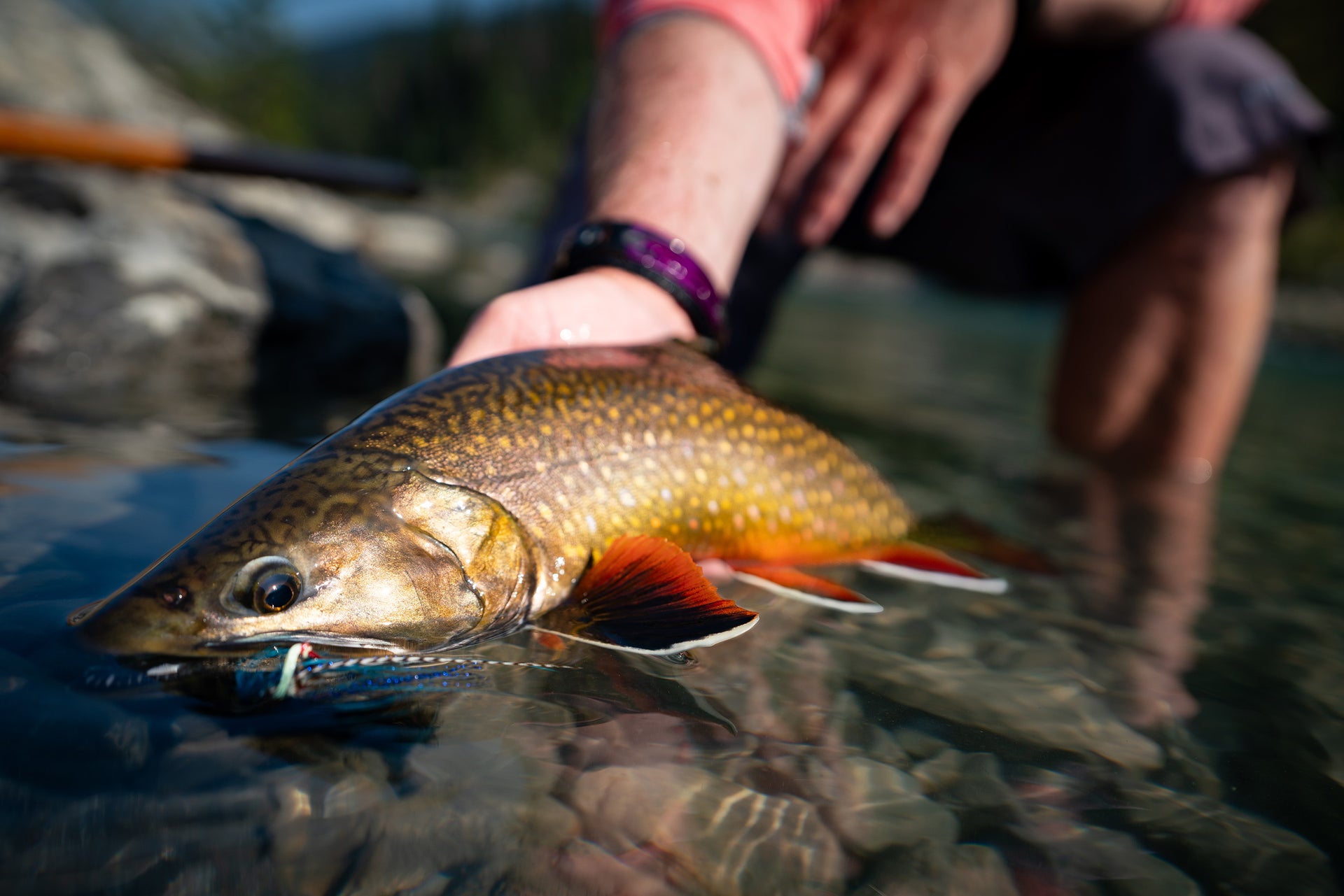 Out Fly Fishing