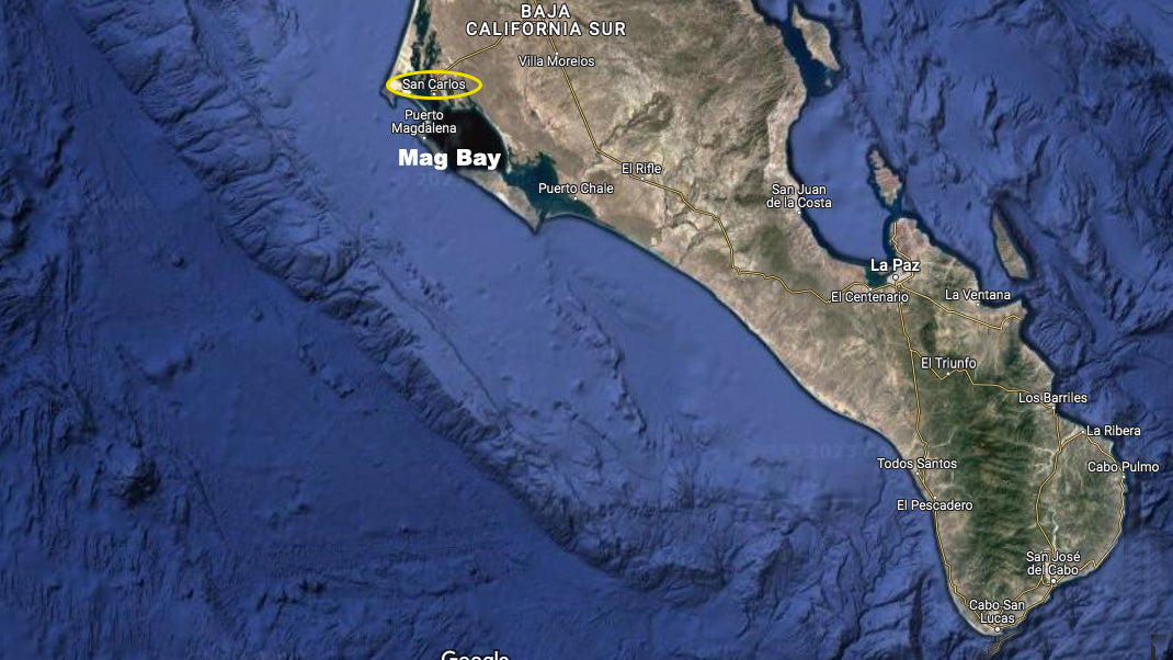 Magdalena Bay, Baja Mexico – Out Fly Fishing