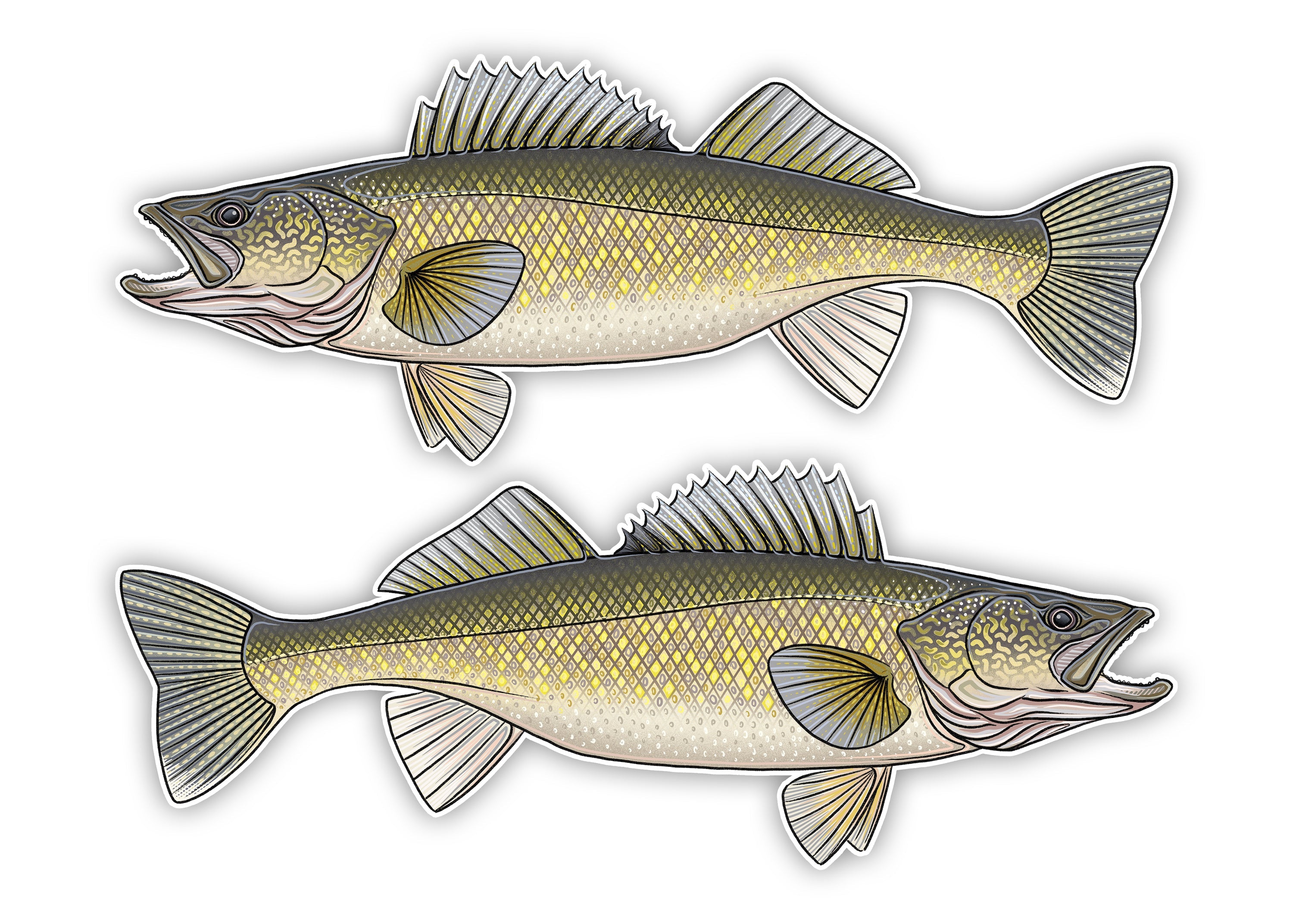 Casey Underwood Oversize Walleye Decal – Out Fly Fishing