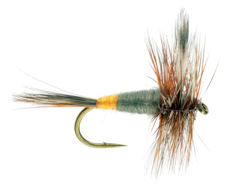 Female Adam's – Out Fly Fishing