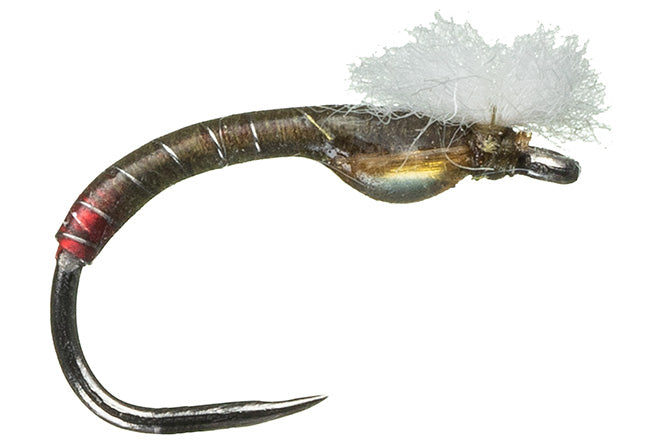 Rowley's Clearwater Pupa - all colors – Out Fly Fishing