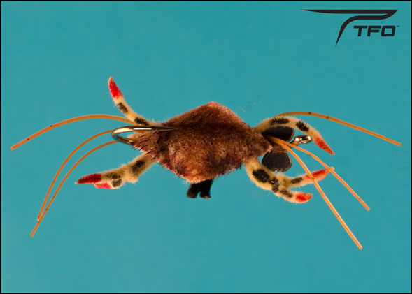 TFO Velcro Crab – Out Fly Fishing